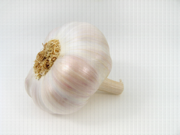 Ail rose, tête d'ail - Phototheque du Ctifl