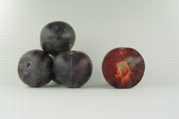 Variété de prune : Ruby Queen - Phototheque du Ctifl