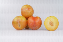 Variété de prune : TC Sun - Phototheque du Ctifl