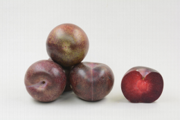 Variété de prune : Plum Cot - Phototheque du Ctifl
