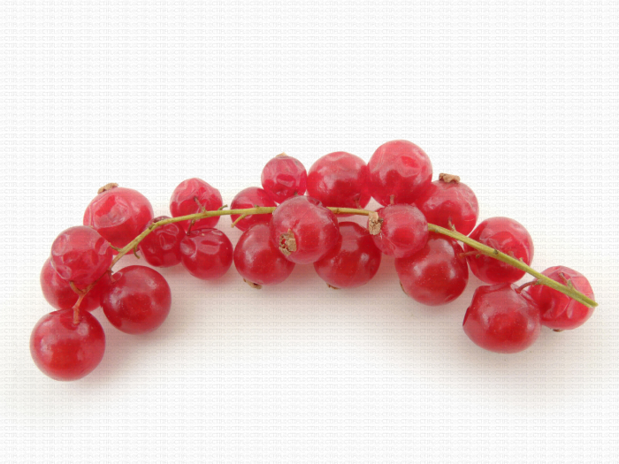 Grappe de groseille, déshydratation de niveau 2 - Phototheque du Ctifl