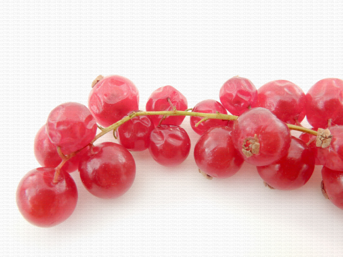 Grappe de groseille, gros plan, déshydratation de niveau 2 ...