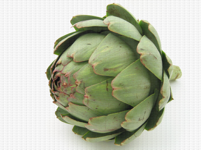 Artichaut, ouverture du capitule - Phototheque du Ctifl
