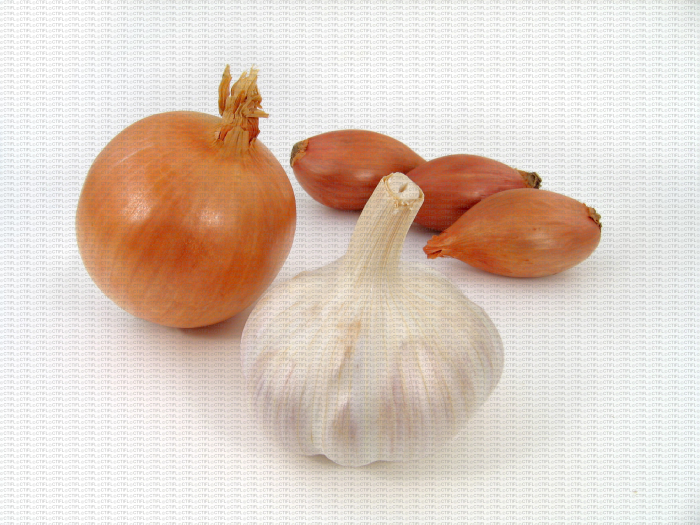 Bulbes, famille, ail, oignon, échalote, spécimens sans défaut ...