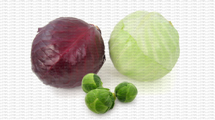 Choux pommés, famille : rouge, vert, choux de Bruxelles, spécimens sans ...