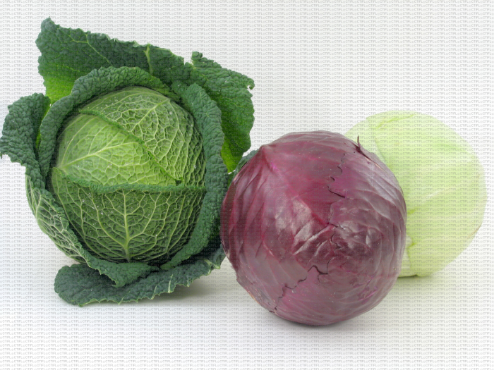 Choux pommés, famille : vert, frisé, rouge, spécimens sans défauts ...