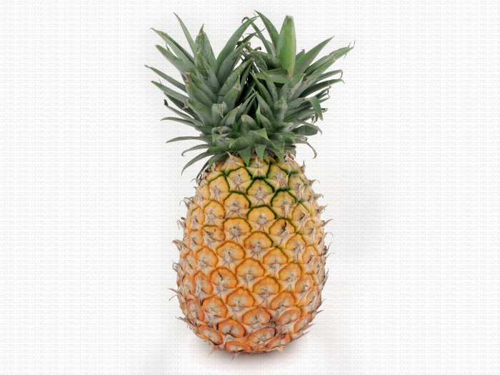 Ananas Sweet avec double couronne - Phototheque du Ctifl