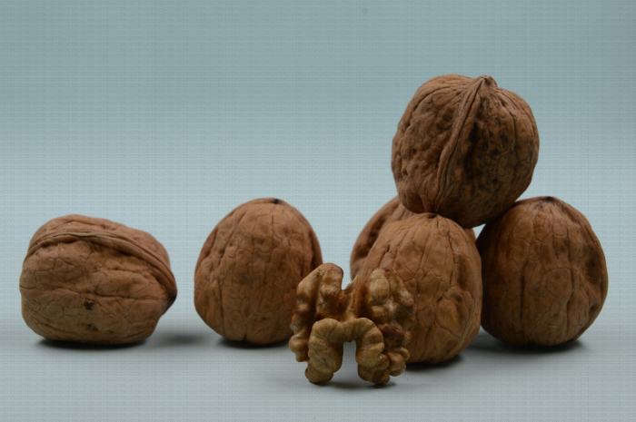 Variété noix - Fernette - Phototheque du Ctifl