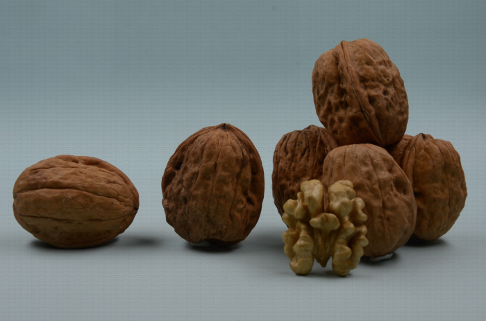 Variété noix - Fernor - Phototheque du Ctifl