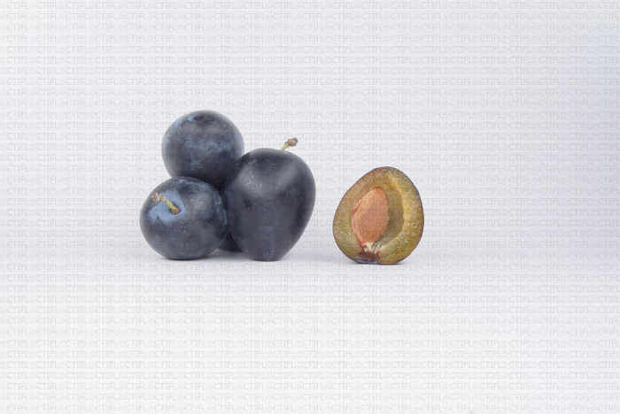Variété de prune : Buhl - Phototheque du Ctifl