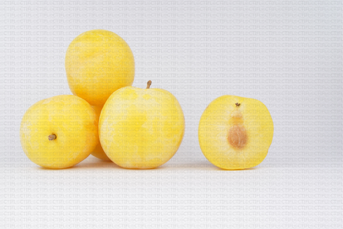 Variété de prune : Golden Globe - Phototheque du Ctifl