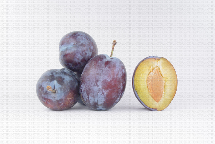Variété de prune : Stanley - Phototheque du Ctifl