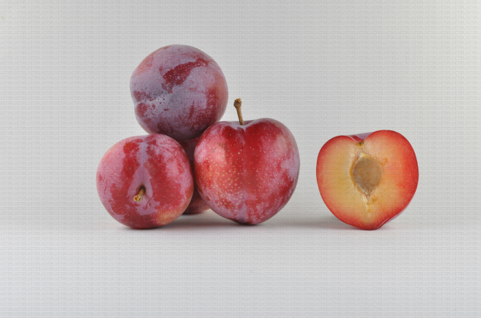 Variété de prune September Yummy - Phototheque du Ctifl